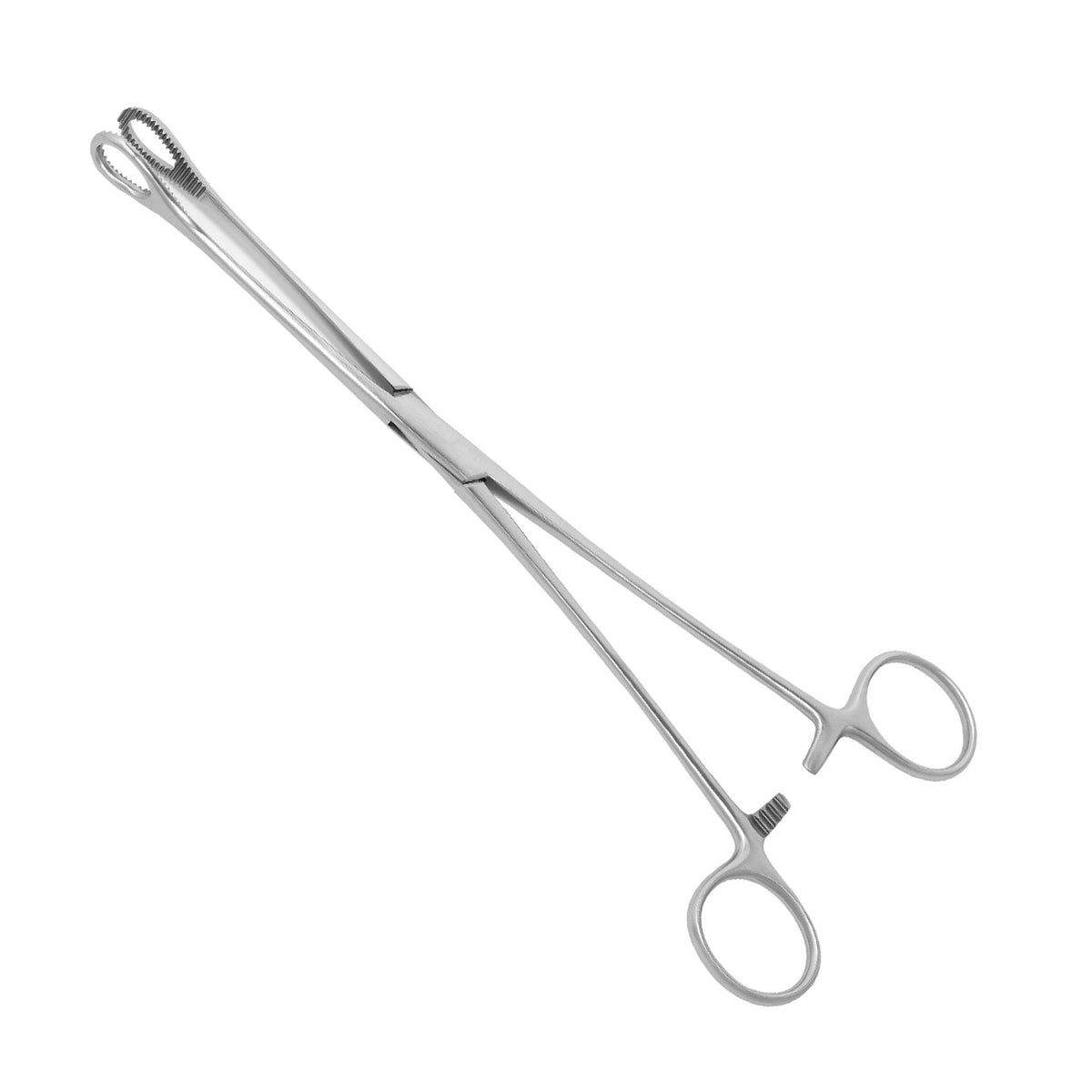 Sponge Forcep CVD/STR – Wilcare